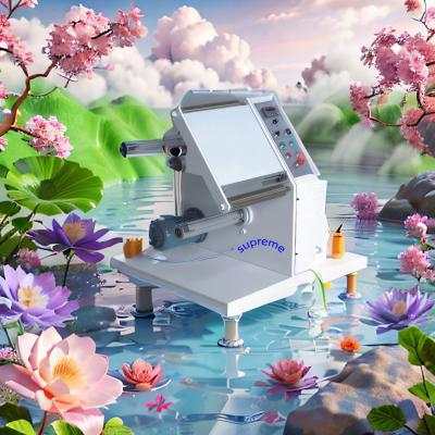 China LABEL INSPECTION MACHINE INSPECTING THE QUALITY OF PRINTED AND DIE CUTTING 320/420/520 MODEL for sale