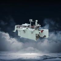 China EFFICIENT ADHESIVE LABEL PAPER PROCESS MACHINERY 350MM WIDTH 380V VOLTAGE MIDDLE HIGH SPEED FLATBED DIE CUTTING MACHINE for sale