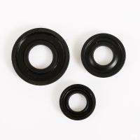 China High Quality Rubber Oil Seals Famous Brand NBR FPM FKM Tc Oil Seals for sale