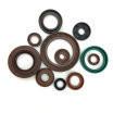 China High-Performance NBR TC OIL SEAL for Automotive and Aerospace Industries for sale
