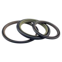 China FKM Oil Seal Wear and Corrosion Resistant for High Pressure Applications ydraulic Cylinder Sealing Sturger Sealing Ring for sale