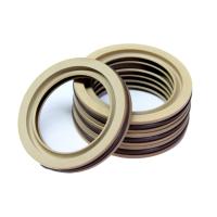 China Manufacturer of PTFE Seals B-Type Oil Seal, Hydraulic Cylinders, Motors, Pumps FPM FKM PTFE  EPDM mechenical for sale