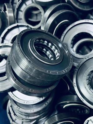 China High Quality Vmq FPM NBR Rubber Oil Seal (TC/SC/SB/SA/TB/VC/TCN) for sale