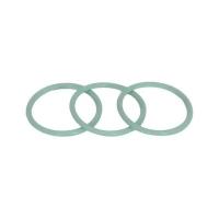 China Black White Transparent High Temperature Resistance Pressure Cooker Flat Seal O Ring for sale