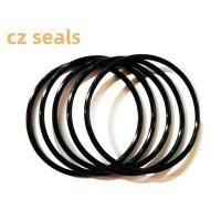 China Solar Waterproof Leak Proof Silicone Sealing O Ring Oil Seal High Temperature Resistant for sale