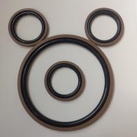 China PTFE Sealing Element Holes With Sliding Ring Combination Sealing Ring Glee Ring Rubber O Ring Seal NBR for sale