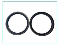 China TA Type Double Lip Rotary Shaft Oil 40mm Rubber O Ring for sale