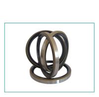 China TA Type Double Lip Rotary Shaft Oil 40mm Rubber O Ring for sale
