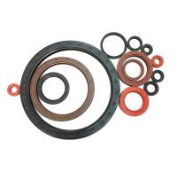 China Chemical Resistant Oil Seal Ring Water Resistance FKM FPM NBR CR PU Material for sale