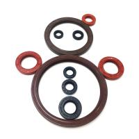 China Customized Colors Oil Seal Ring For Industrial Sealing Applications for sale