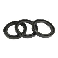 China 1TR Oil Seal Ring High Temperature and Different Materials with Customized Products for sale