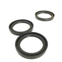 China 1TR Oil Seal Ring High Temperature and Different Materials with Customized Products for sale