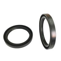 China Different Temperatures Oil Seal for Customized Performance and Durabilit for sale