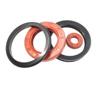 China Different Temperatures Oil Seal for Customized Performance and Durabilit for sale