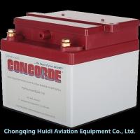 China Premium RG24 11M Concorde Lead Acid Battery 24v Replacement for sale