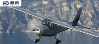 China Whole Aircraft Sale Vulcanair V1.0 for sale