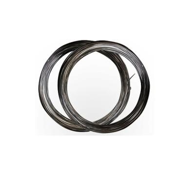 China 0.3mm 316 Stainless Steel Spring Wire | Premium Quality | TOPONE (Qingshan/Yongxing Raw Material) for sale
