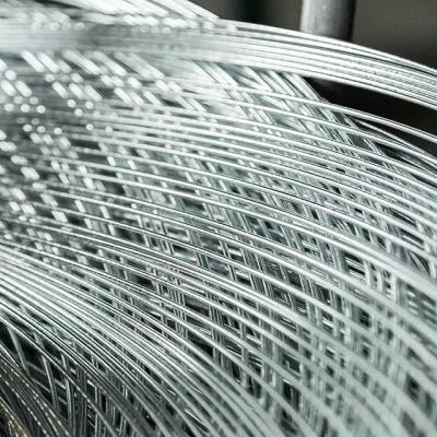 China Annealed Soft Stainless Steel Metal Nail Wire 304Cu 304HC 304HC3 304B 204Cu 430 for sale