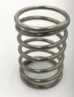 China Custom Stainless Steel Torsion Spring for Precise Wire Forming for sale