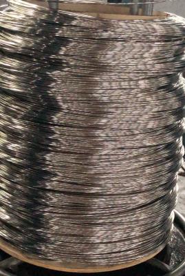 China 304 Stainless Steel Spring Wire for Precision Spring Manufacturing for sale