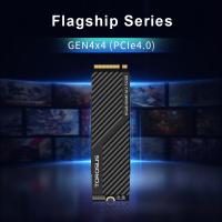 China TOROSUS NVMe SSD HG48 Solid State Drive for sale