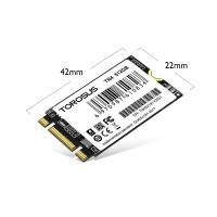 China TOROSUS NGFF SSD TN4 Solid State Drive for sale