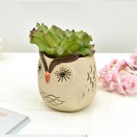 China 24 Inch 6 Inch  16 Inch Ceramic Flower Pots 3D Unique Owl Lovely Flower Succulent Pots Mode for sale