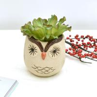 China 24 Inch 6 Inch  16 Inch Ceramic Flower Pots 3D Unique Owl Lovely Flower Succulent Pots Mode for sale