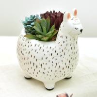 China 10 Inch Ceramic Flower Pot Planter Animal Flower Pots Succulent Plant Pot Plant Propagation for sale