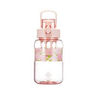 China 650ML Water Bottles Glass Outdoor Large Capacity Baby Reusable Straw Cup For School Home Room for sale