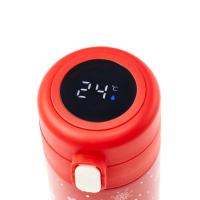 China Vacuum Flasks Thermoses LED Digital Water Bottle Vacuum Mugs Stainless Steel Thermal Water Bottle Thermos Con Le for sale