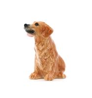 China 3d Animal Shaped Porcelain Salt And Pepper Shakers Pots Ceramic for sale