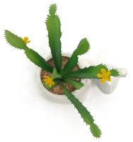 China Hot sale custom white stoneware succulent 3D Snail shaped flower succulent pots planter for sale