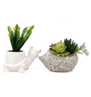 China Hot sale custom white stoneware succulent 3D Snail shaped flower succulent pots planter for sale