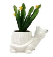 China Hot sale custom white stoneware succulent 3D Snail shaped flower succulent pots planter for sale
