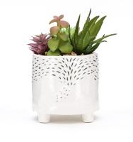 China Animal Flower Pots Succulent Plant Pot Customized Plant Propagation Planter Ceramic Planter for sale
