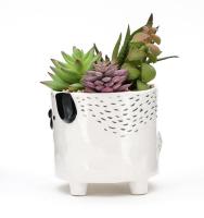 China 3d Animal Instagram Ceramic Mini Succulent Plant Flower Pots Customized for sale