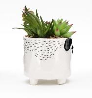 China 3d Animal Instagram Ceramic Mini Succulent Plant Flower Pots Customized for sale