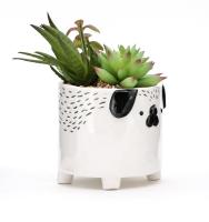 China 3d Animal Instagram Ceramic Mini Succulent Plant Flower Pots Customized for sale