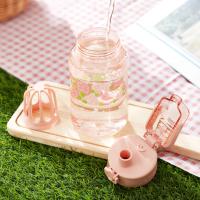 China 650ML Water Bottles Glass Outdoor Large Capacity Baby Reusable Straw Cup For School Home Room for sale