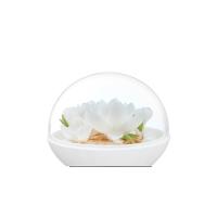 China Ready To Ship In Stock Ceramic Candle Holders Fragrance Essential Oil In Custom Shapes And Colors As Gift Home decoration for sale