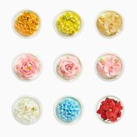 China Ready To Ship In Stock Ceramic Candle Holders Fragrance Essential Oil In Custom Shapes And Colors As Gift Home decoration for sale