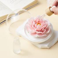 China Ceramic Candle Holders For Essential Oils And Fragrance AS BIRTHDAY GIFT AND DECORATION for sale