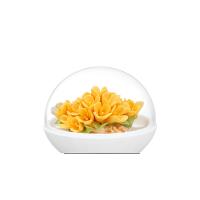 China Ceramic Candle Holders For Essential Oils And Fragrance AS BIRTHDAY GIFT AND DECORATION for sale