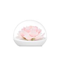 China Ceramic Candle Holders For Essential Oils And Fragrance AS BIRTHDAY GIFT AND DECORATION for sale