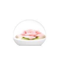 China Ceramic Candle Holders For Essential Oils And Fragrance AS BIRTHDAY GIFT AND DECORATION for sale