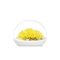 China Customized Hand Made Ceramic Candle Holder For Home Fragrance AS GIFT WITH DIFFERENT FLOWERS for sale