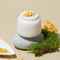 China Year's Holiday Ceramic Storage Jar Multifunctional Design For Party Occasion Needs for sale