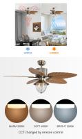 China Modern Decorative 4100k Crystal Ceiling Fan With Light Remote Control Invisible Retractable Blade for sale