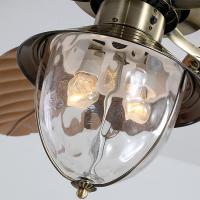 China Modern Decorative 4100k Crystal Ceiling Fan With Light Remote Control Invisible Retractable Blade for sale